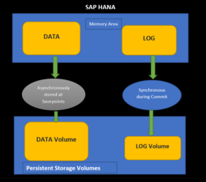 SAP HANA Persistent Memory - BASIS GURU