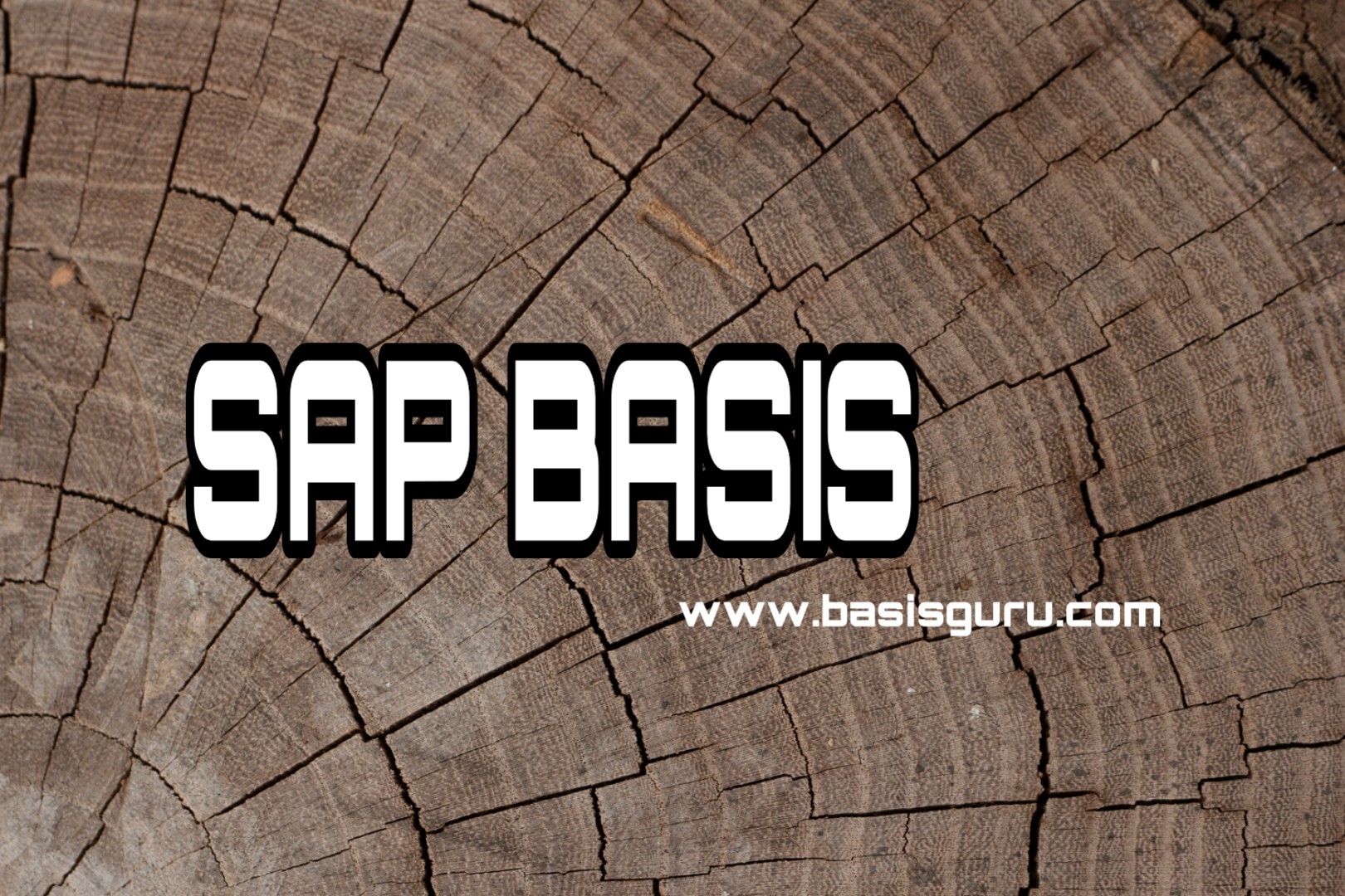 Execute OS Command from SAP Frontend - BASIS GURU