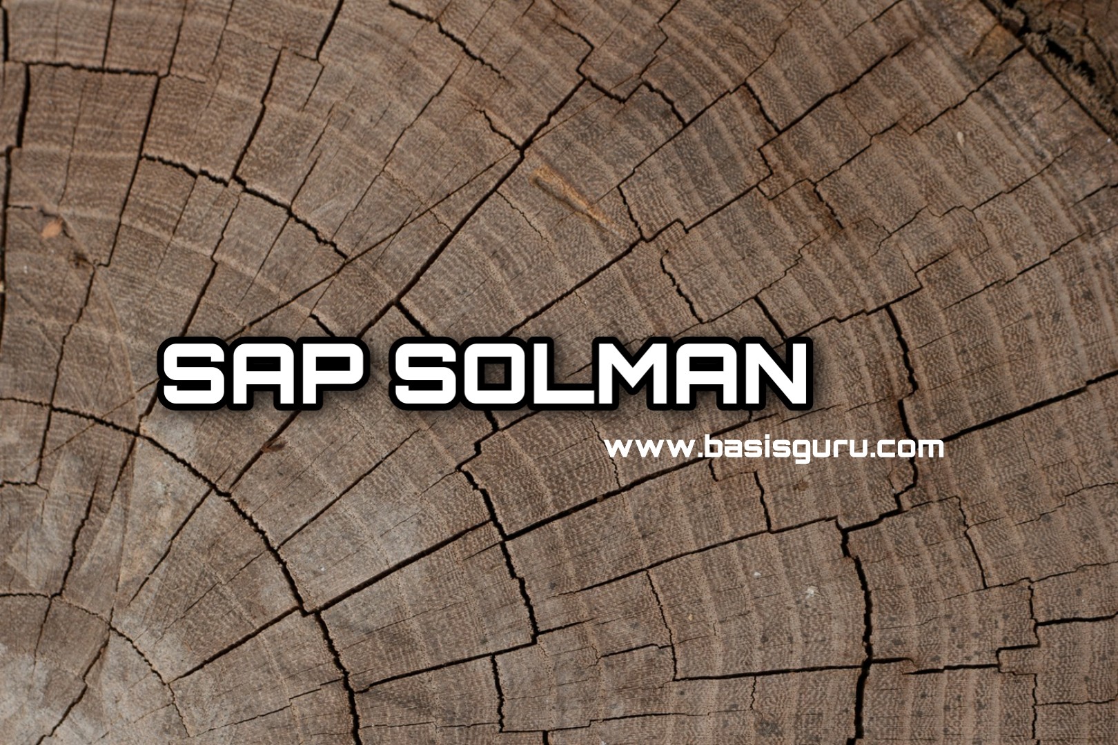 Solman_setup